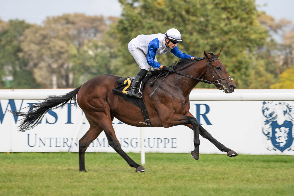Good Gift zmierzy się z koniem gwiazdora i… najwyższą wagą w polu ...