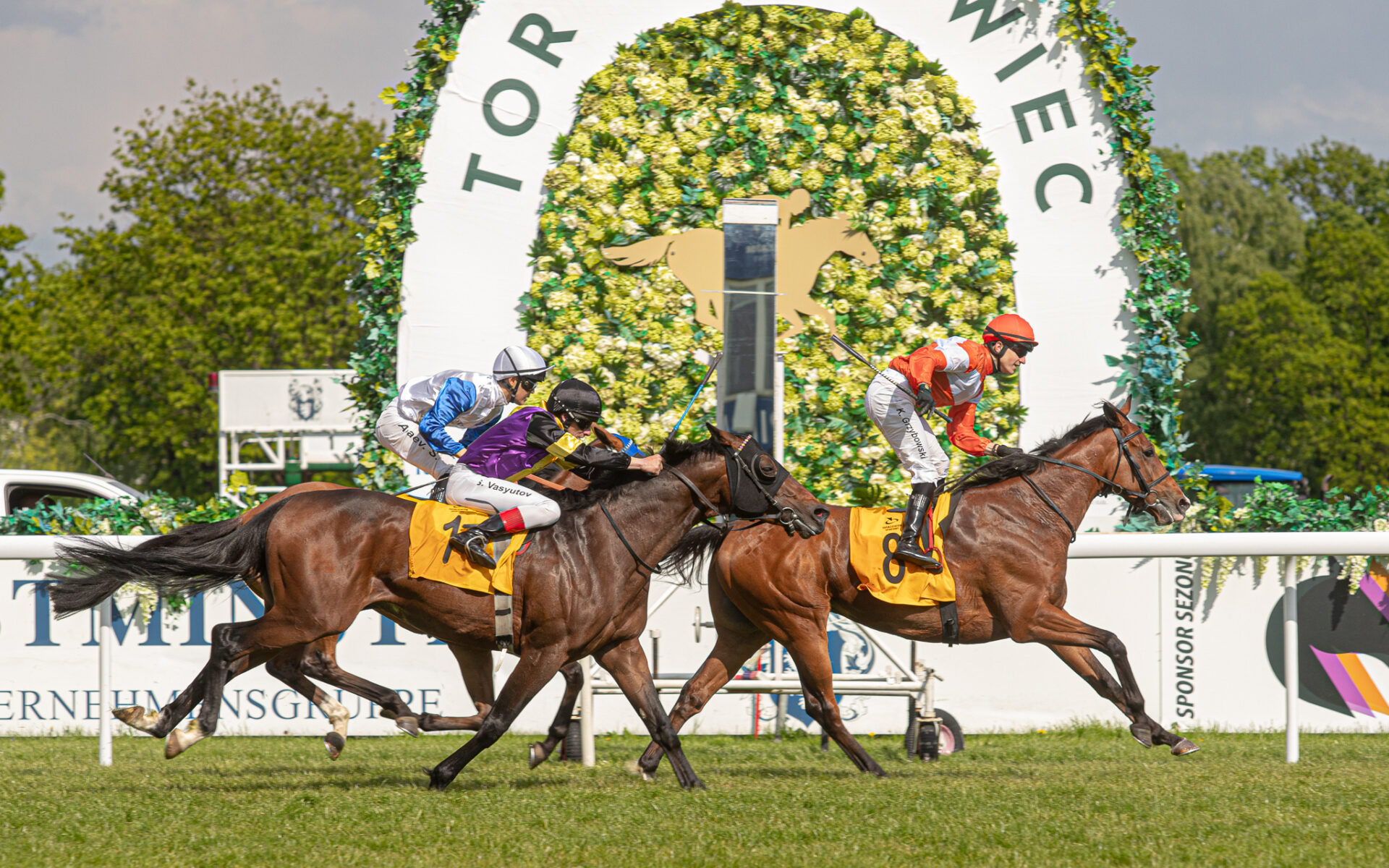 Kamil Grzybowski: Ciągle wierzę w swoją szczęśliwą gwiazdę | TrafNews