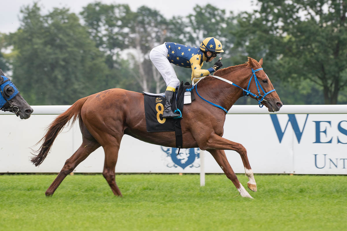 Villa des Arts druga na Longchamp, Proletarius debiutuje w piątek we ...