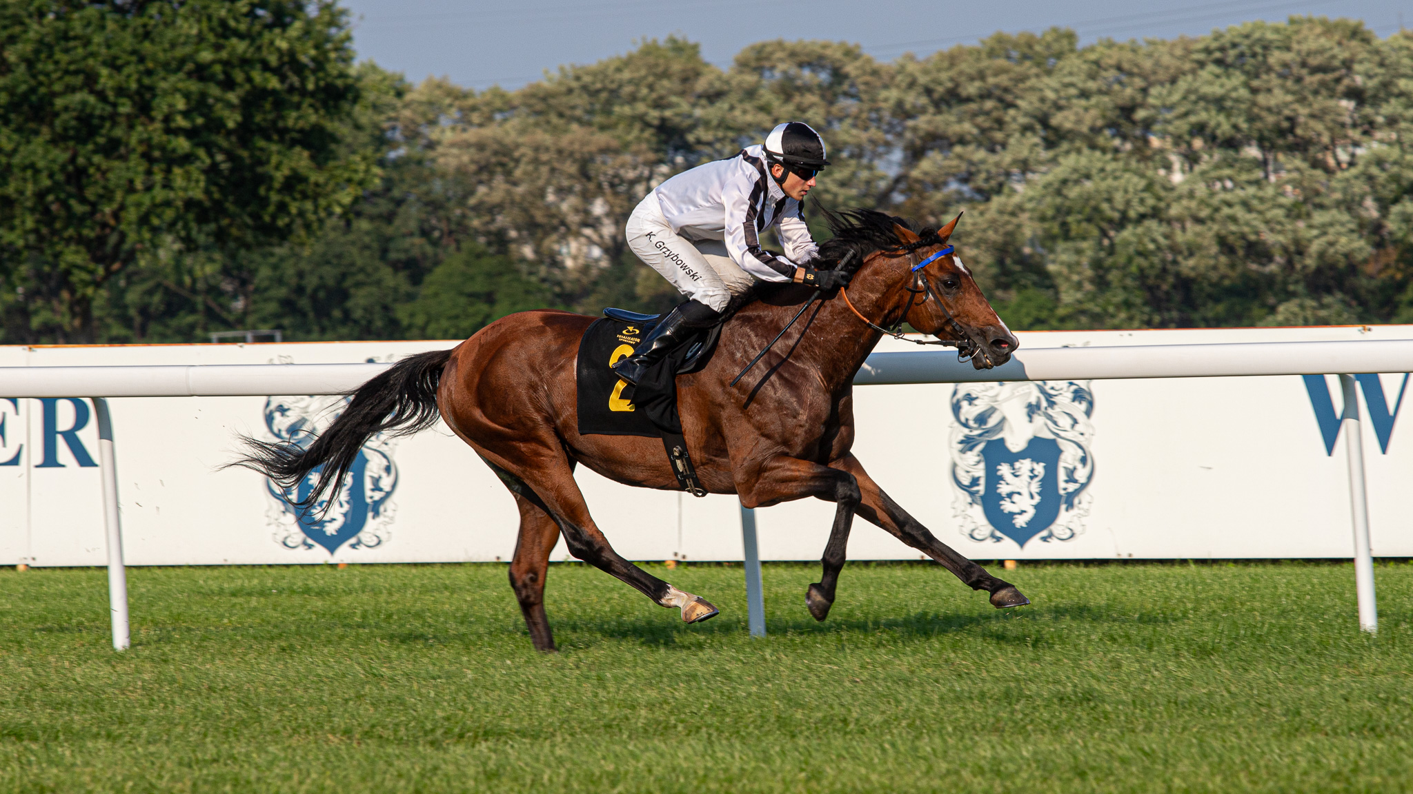 Farida P pogodziła polskie konie! Pasjonująca walka w UAE President Cup ...