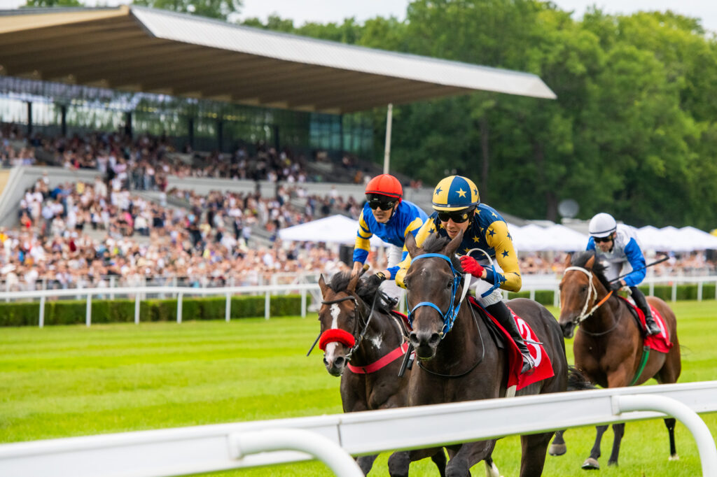 Le Destrier - wskrzeszenie nadziei | TrafNews