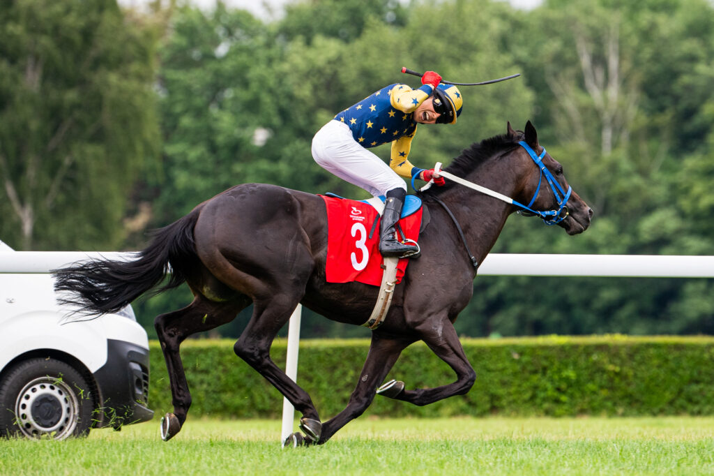 Le Destrier, Westminster Moon, Bahwan i Factoriel gwiazdami pierwszej ...
