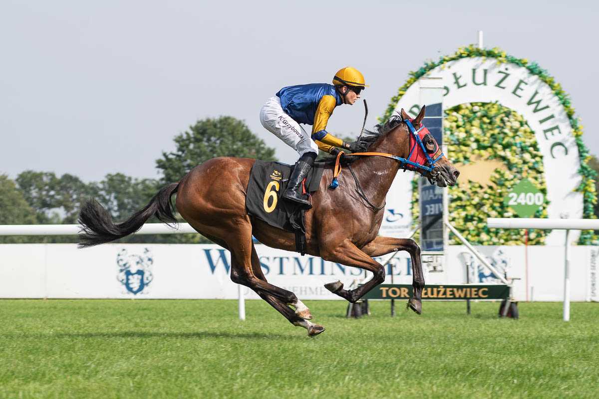 Kaneshya drugi w Lyonie, w niedzielę w gonitwach rangi Listed w Tuluzie ...