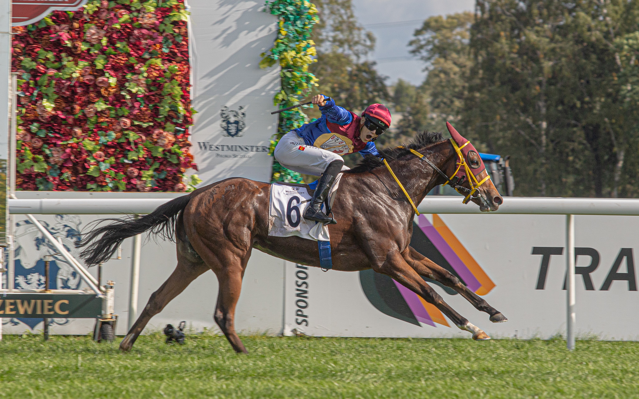 Nagroda Efforty - czy na mokrym torze Socorania jest do ogrania? | TrafNews