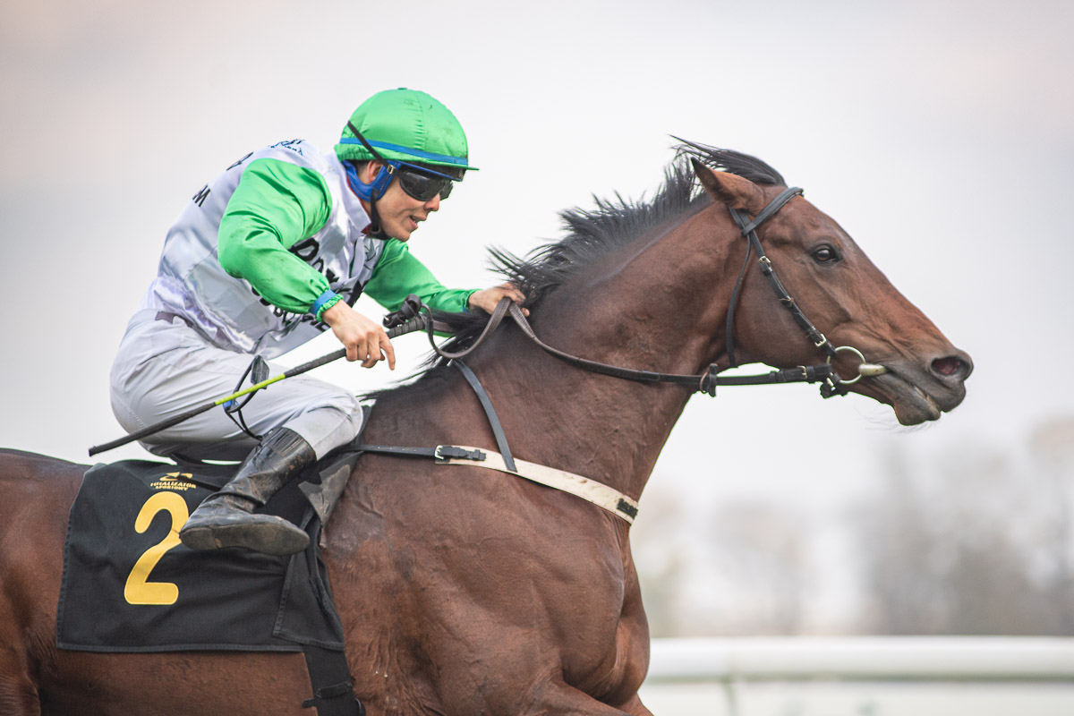 Johnny Double pokonuje faworytów w ostatnim wyścigu sezonu 2023 | TrafNews