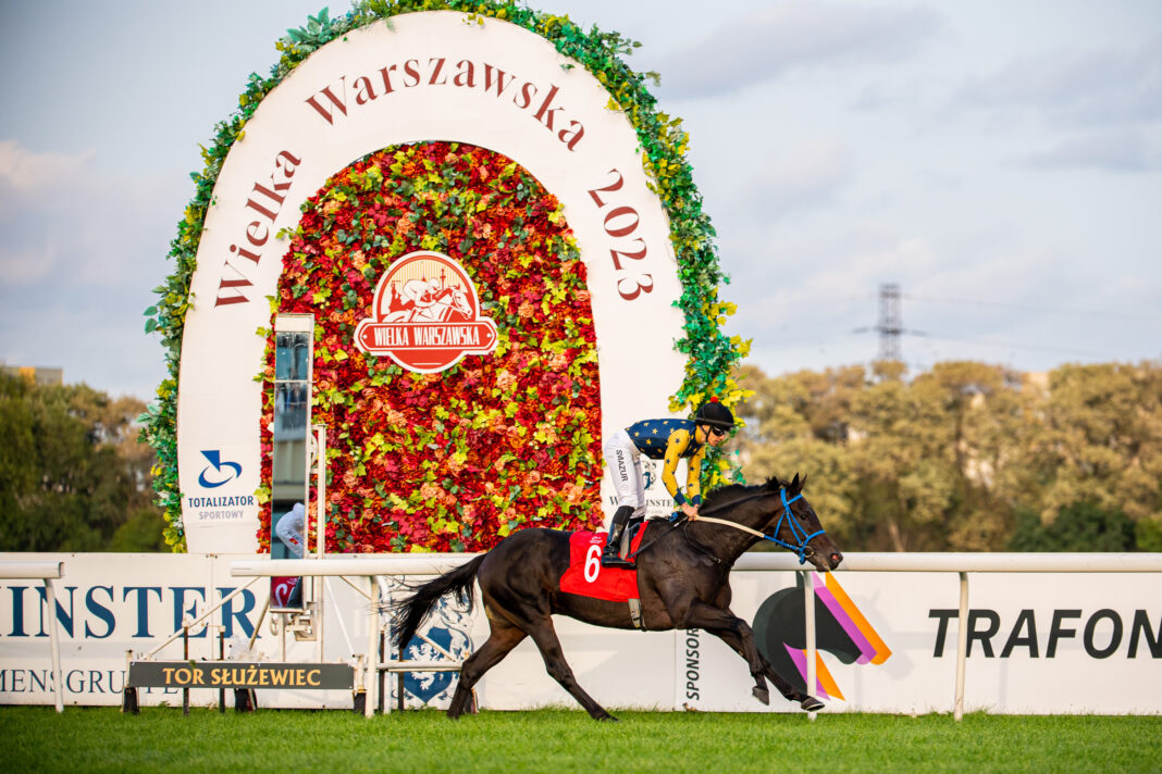 17 koni w pierwszym zapisie do Wielkiej Warszawskiej LR, w tym 6 ...