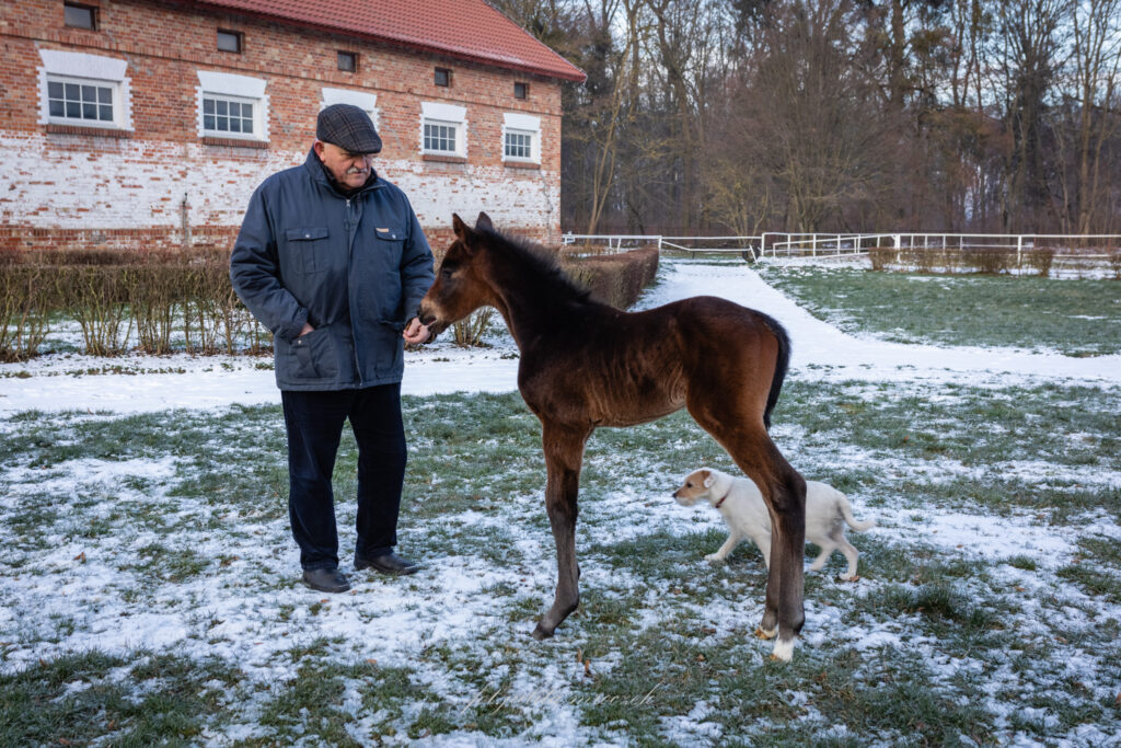Ogiery czołowe w Polsce w sezonie 2024: Zwycięzca Grand Prix de Paris ...