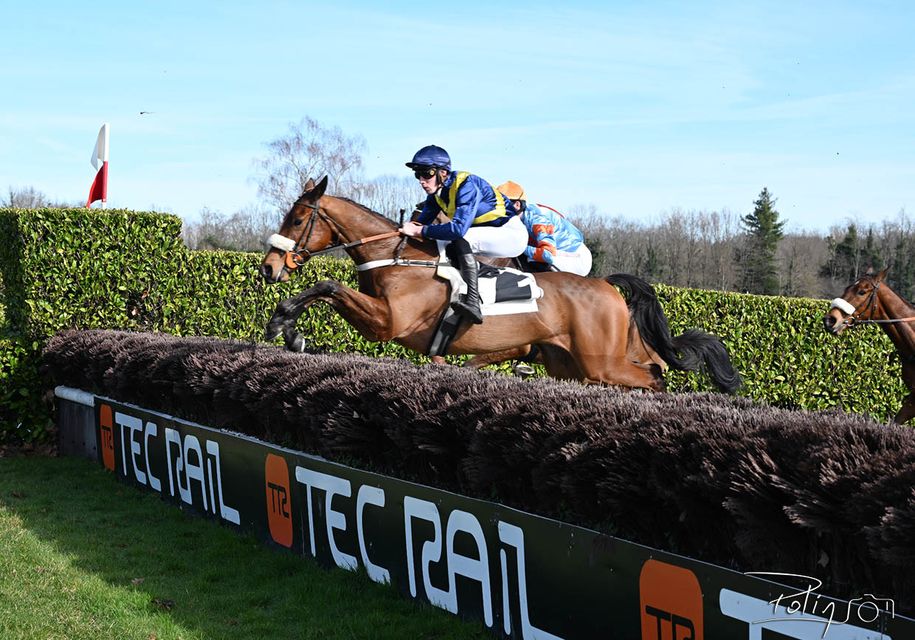 Syn polskiego Tunisa King d’Alene wygrywa już czwarty wyścig z rzędu we ...