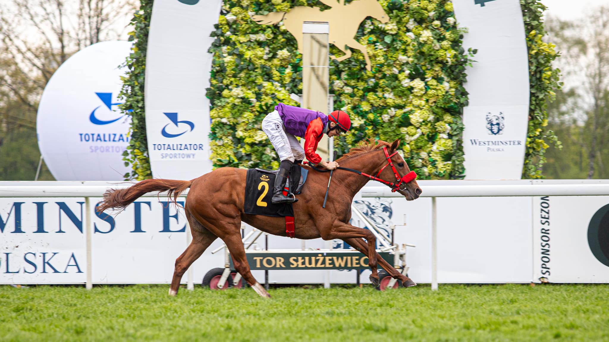 Wycofane konie i inne zmiany (Służewiec, sobota, 18 maja) - Temur Kumarbek zachorował i nie ...