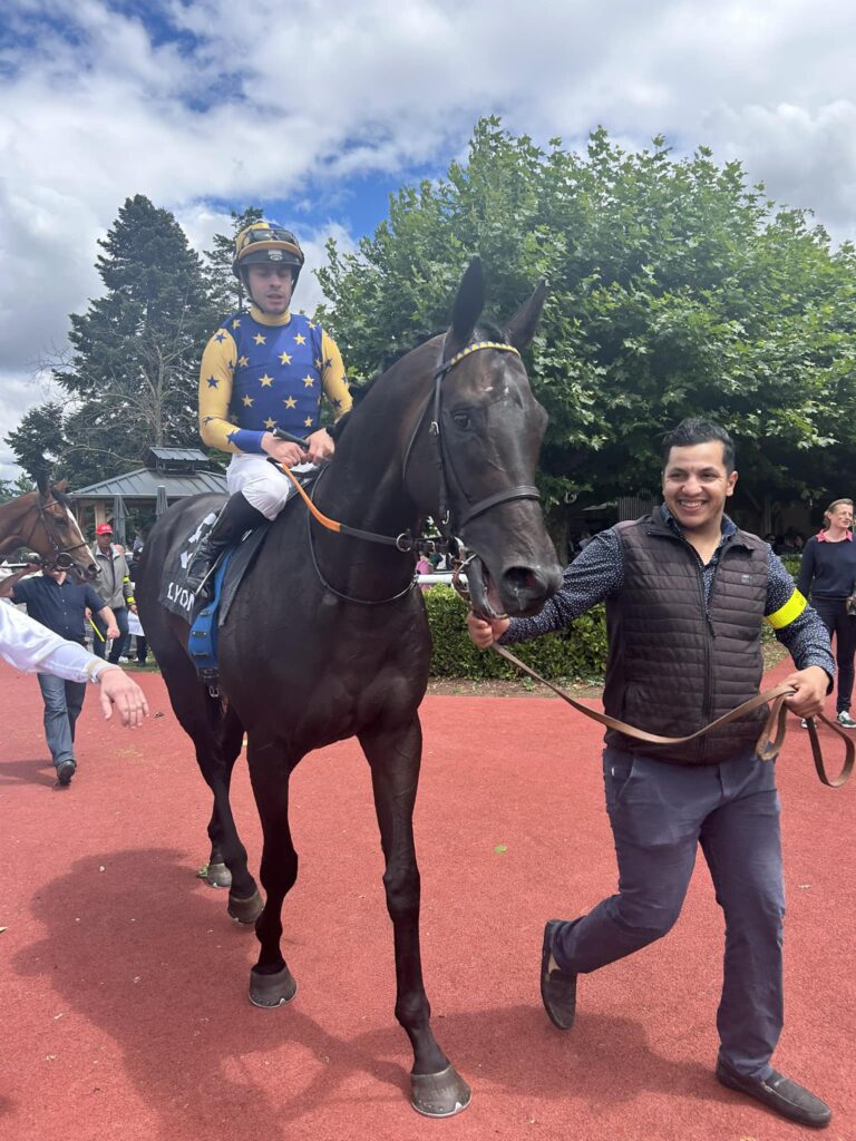 Koń Roku 2023 w Polsce Le Destrier doznał kontuzji ścięgna i zakończy ...