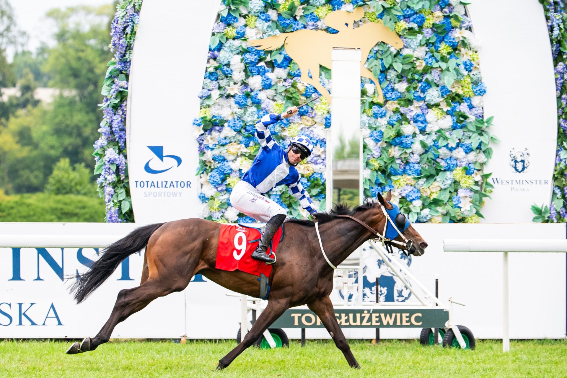 Václav Janáček nie pojedzie na Miss Dynamite w Wielkiej Warszawskiej ...