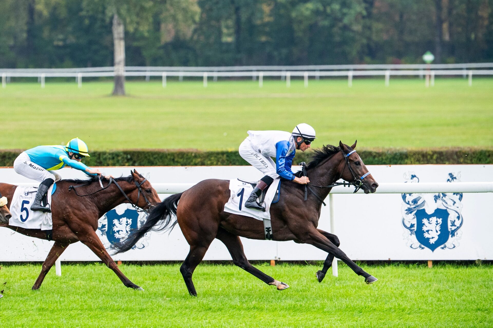 Liderka rocznika Lady Ilze nie do ogrania w Nagrodzie Efforty? | TrafNews