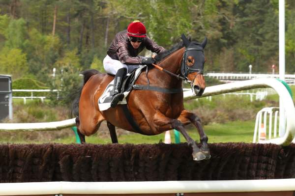 Dwa konie, które trenuje Josef Váňa jr i syn zwyciężczyni Nagrody Soliny powalczą w płotowym ...
