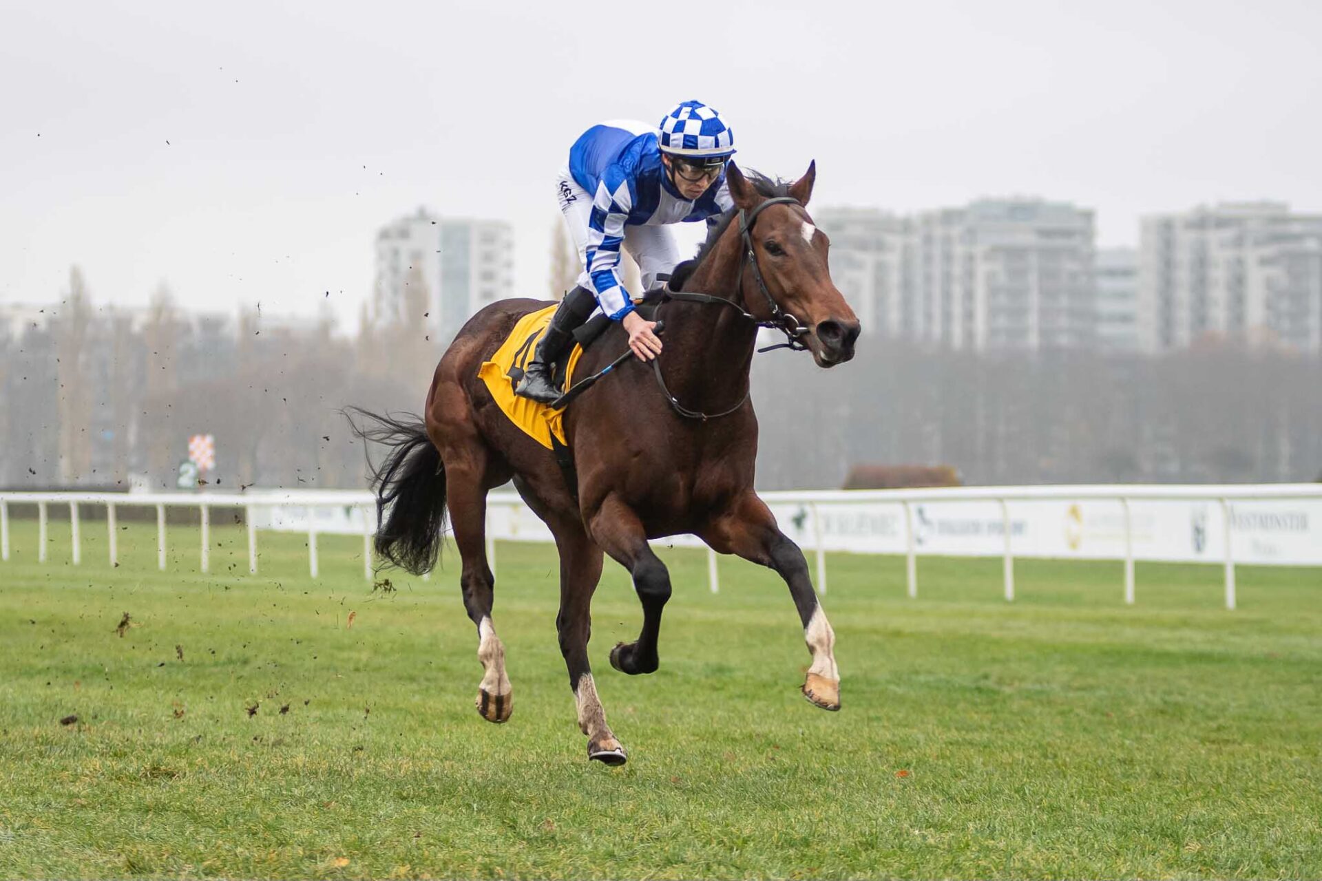 Zdecydowane wygrane Kartel Code’a i Agara Al Khalediah | TrafNews